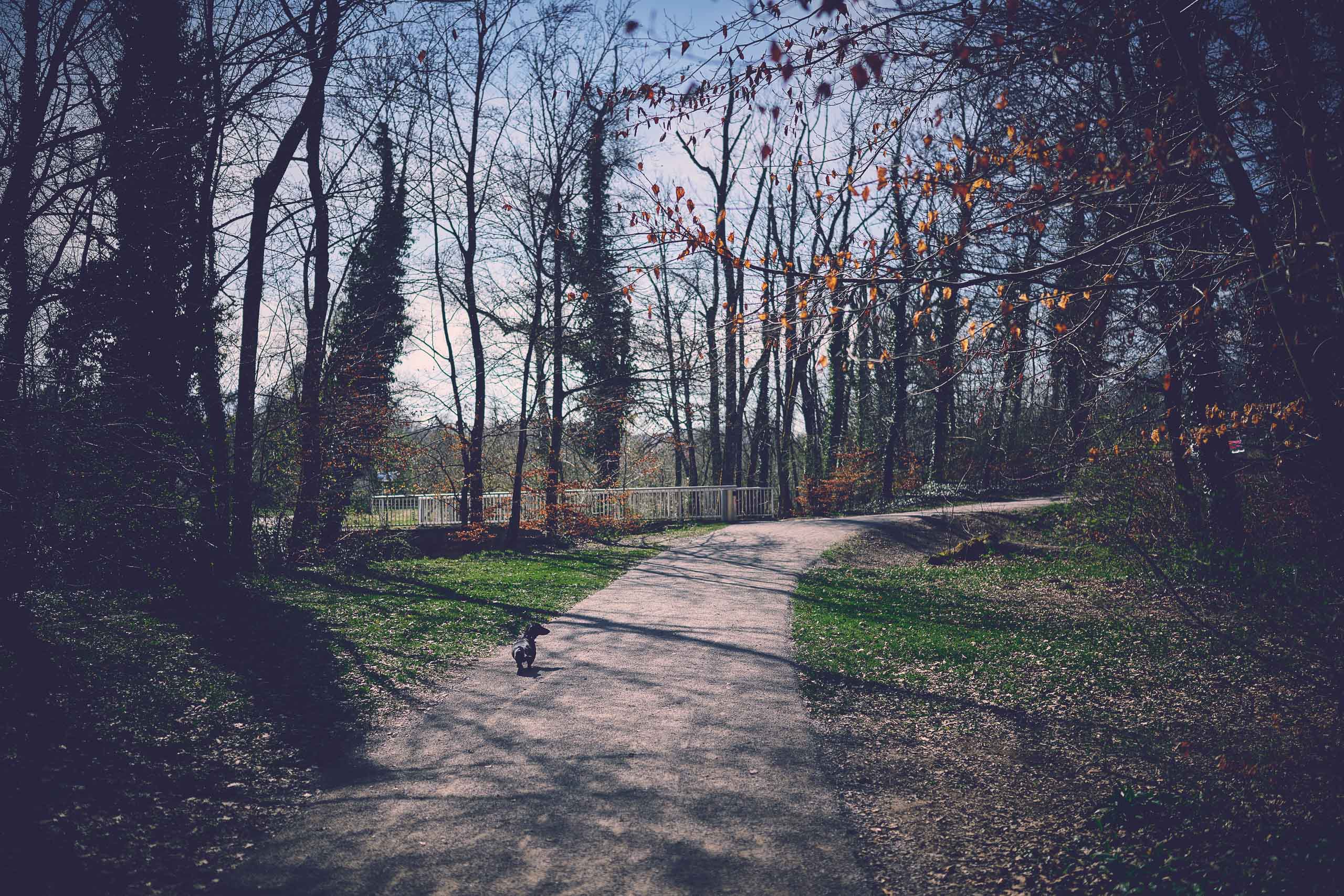 Nicole Merkel - open up